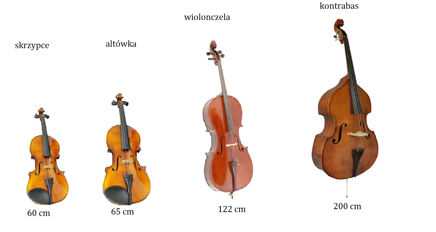 Instrumenty strunowe smyczkowe - mInstructor.com
